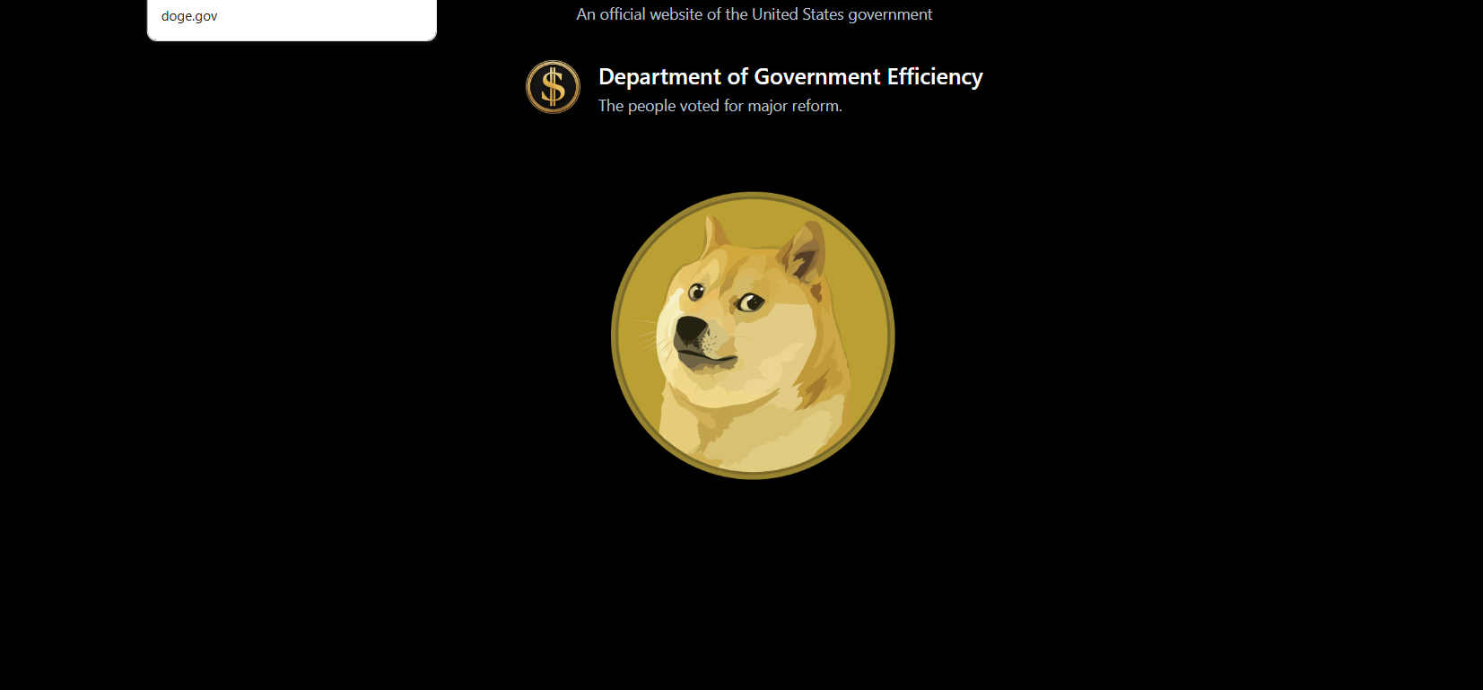 U.S. DOGE Sports Dogecoin Logo After Announcement at Trump Inaugura...