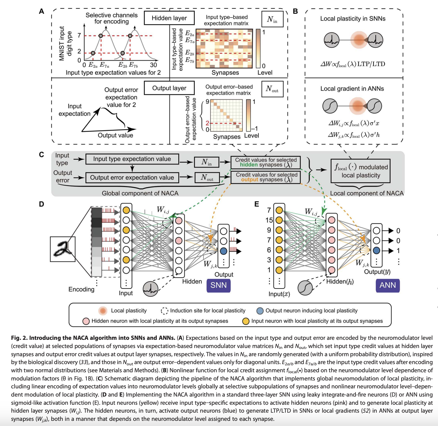 A Brain-Inspired Learning Algorithm Enables Metaplasticity in Artif...
