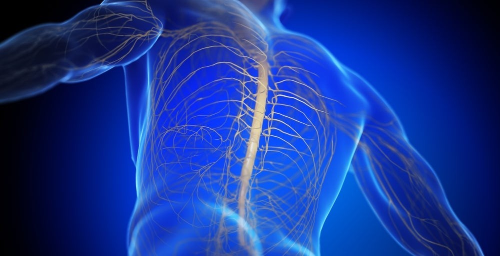 Onwards ARC-EX therapy hits success in pivotal trial for spinal cor...