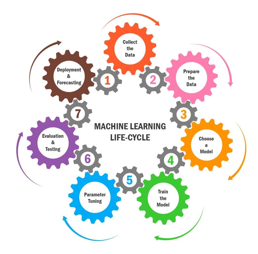 7 Vital Steps in the Machine Learning Life Cycle