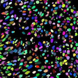 Microscopy Image Segmentation via Point and Shape Regularized Data ...