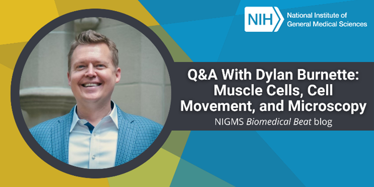 Q&A With Dylan Burnette: Muscle Cells, Cell Movement, and Microscop...