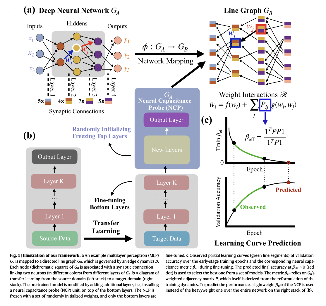 Mapping Neural Networks to Graph Structures: Enhancing Model Select...
