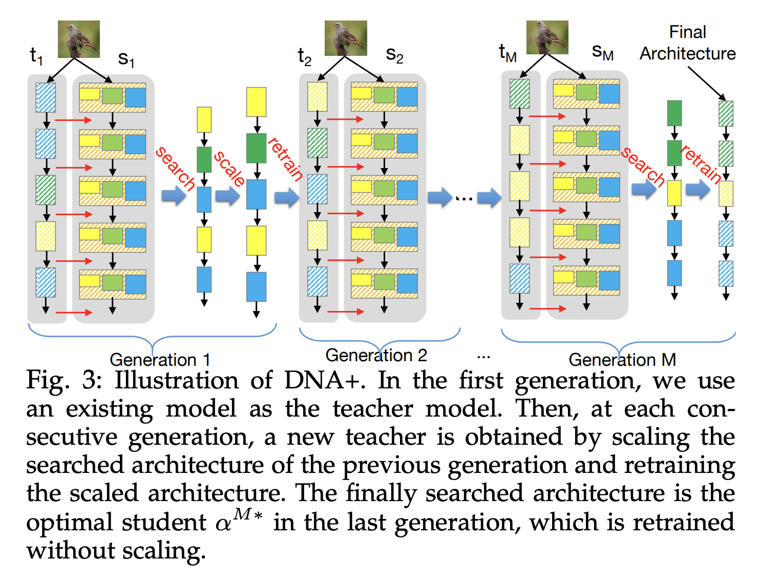 Revolutionizing Neural Network Design: The Emergence and Impact of ...