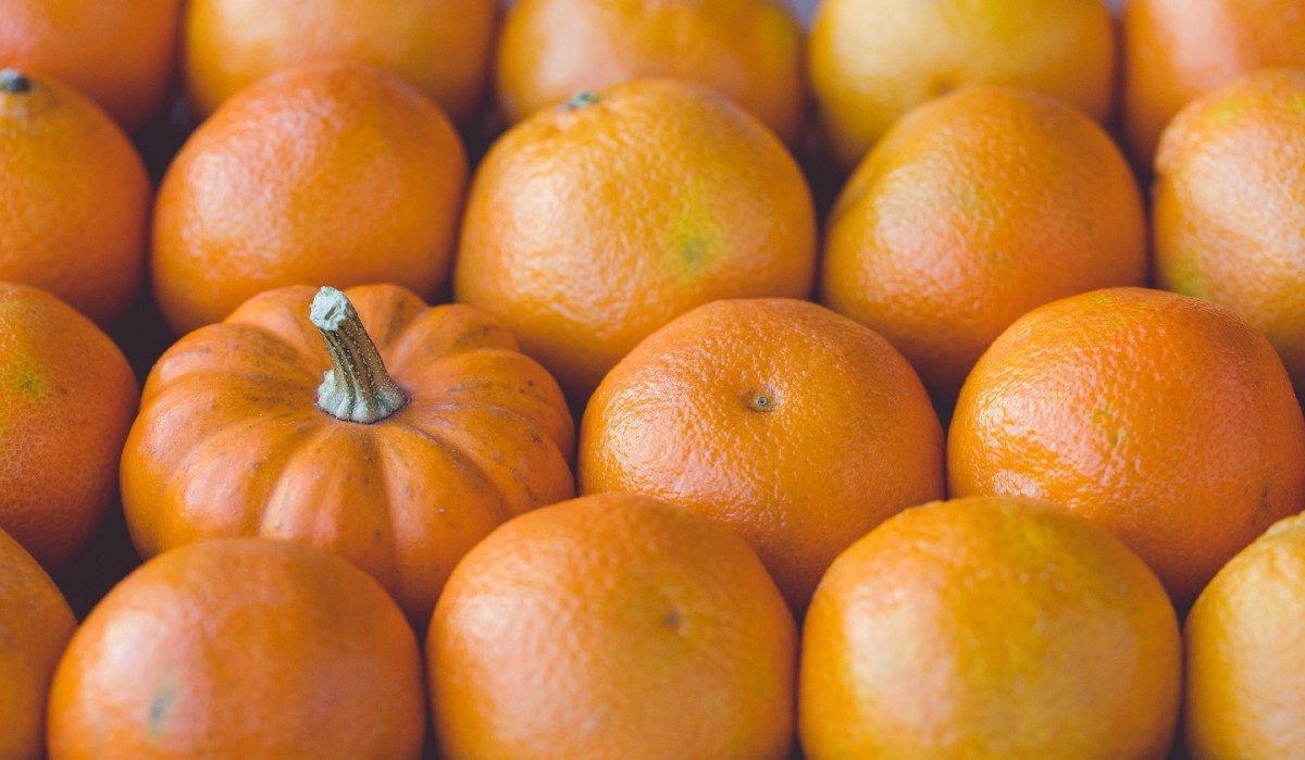 How to Tackle Class Imbalance Without Resampling