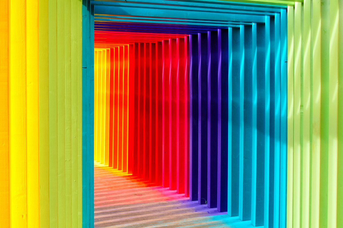 Advanced Dimensionality Reduction Models Made Simple