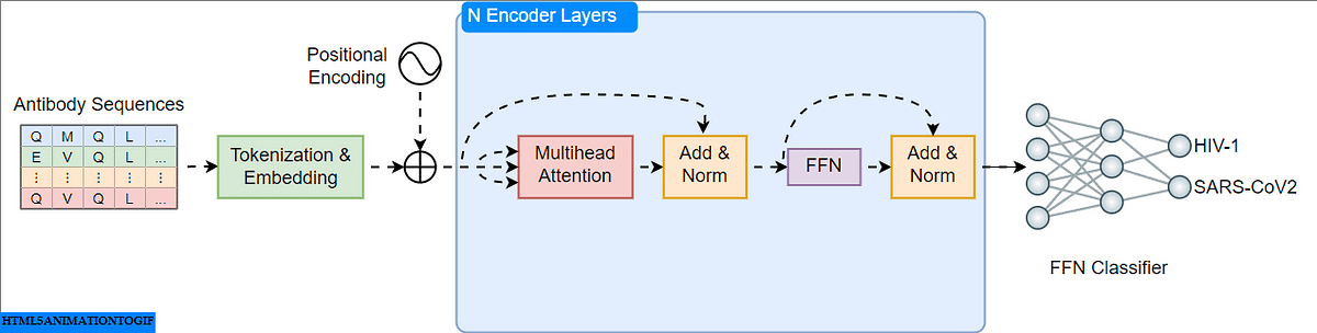 Building Transformer Models for Proteins From Scratch