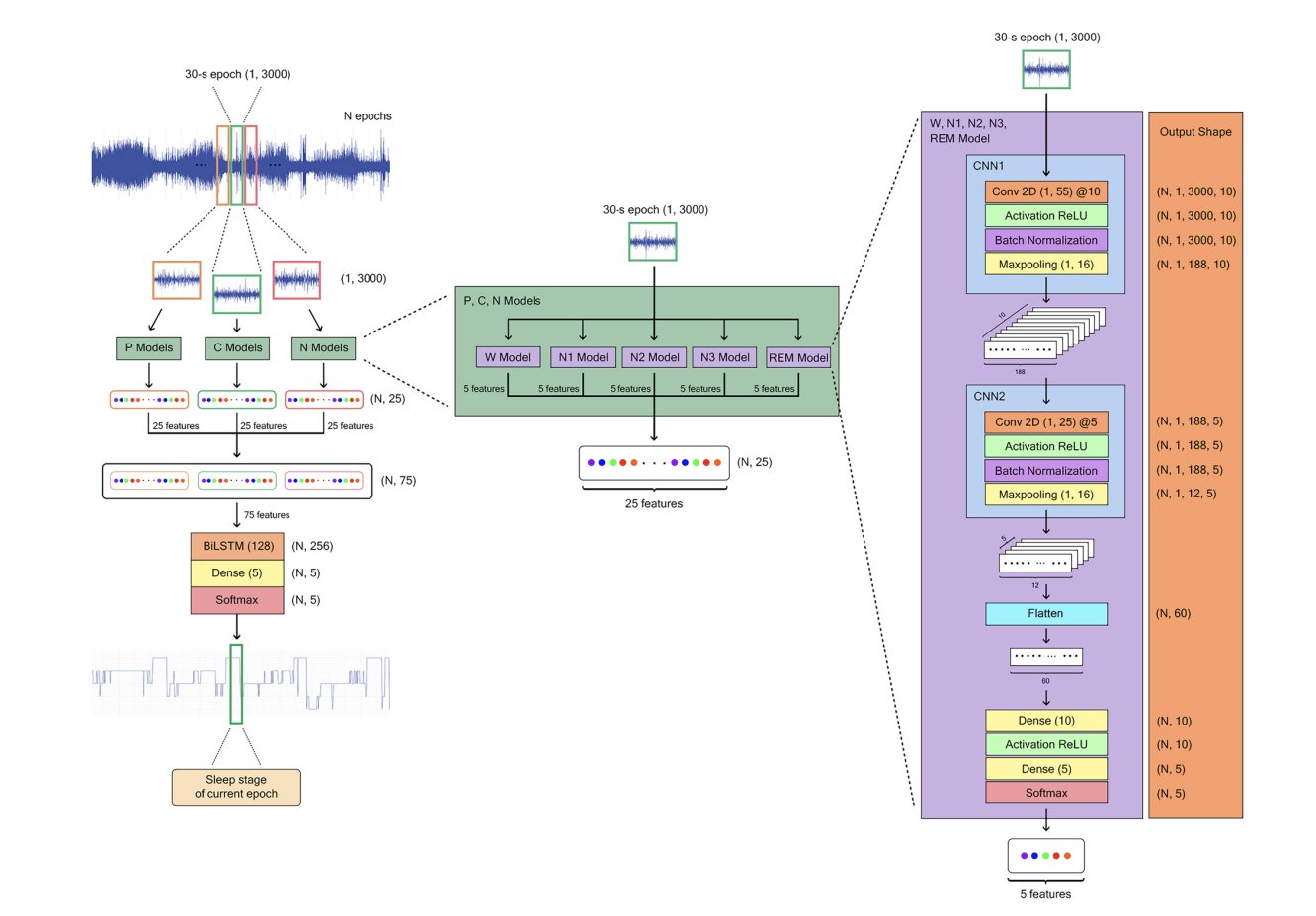 Meet ZleepAnlystNet: A Novel Deep Learning Model for Automatic Slee...