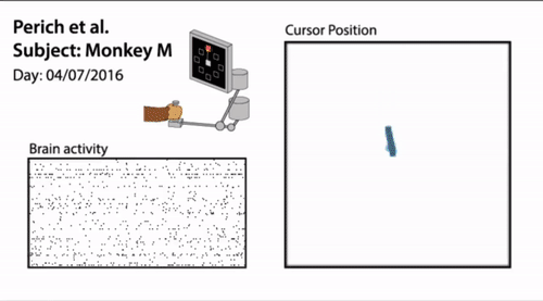 This AI Paper Introduces POYO-1: An Artificial Intelligence Framewo...