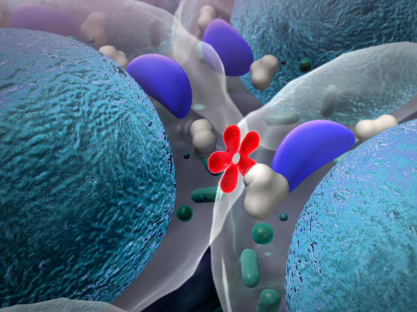 Methods to study cell-cell communication from single-cell sequencin...